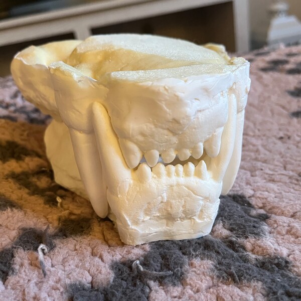 Mandrill Baboon Monkey Skull Replica - Etsy