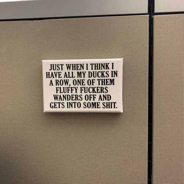 Ducks in A Row / Work From Home / Funny Desk Signs / Funny Office Gifts ...