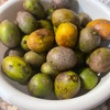3LBS Fresh Dwarf June Plums - Always Freshly Picked - ** We Are ...