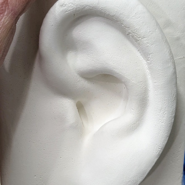 Eye of David Plaster Cast Art Reference, Handmade Sculpture for Artists ...