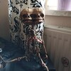 Rat Christ Ooak Cursed Crucifix Sculpture - Etsy Canada