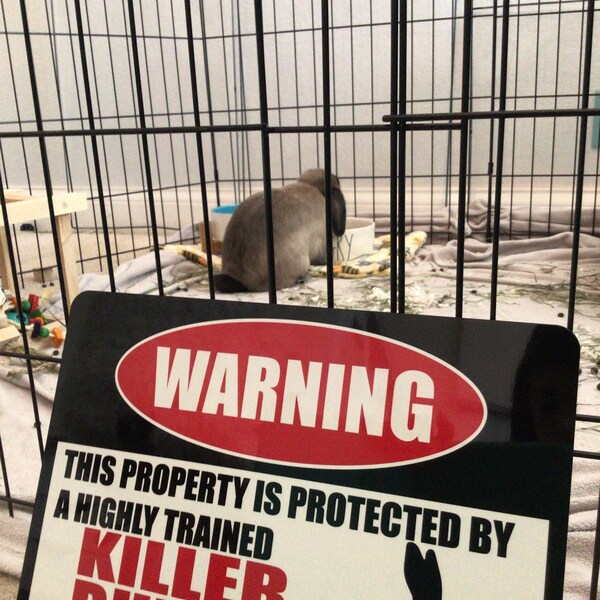 Killer Bunny Sign Funny Bunny Sign Bunny Sign Rabbit Decor Barn Sign ...