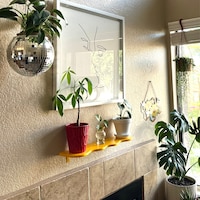 Wavy Shelf Squiggle Shelf Maximalist Funky Decor Pastel Shelves Danish ...