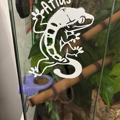 Crested Gecko Guy Hooded Sweatshirt, Crested Gecko Hoodie, Crested ...