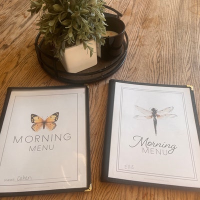 Human Body Systems, Print Copywork, Human Body Facts, Print Handwriting ...