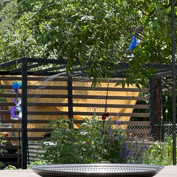 20” Rust Bird Bath With Stand - Etsy