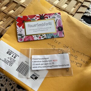 Zinnia Seeds Pepito Mix dwarf 264 - Etsy