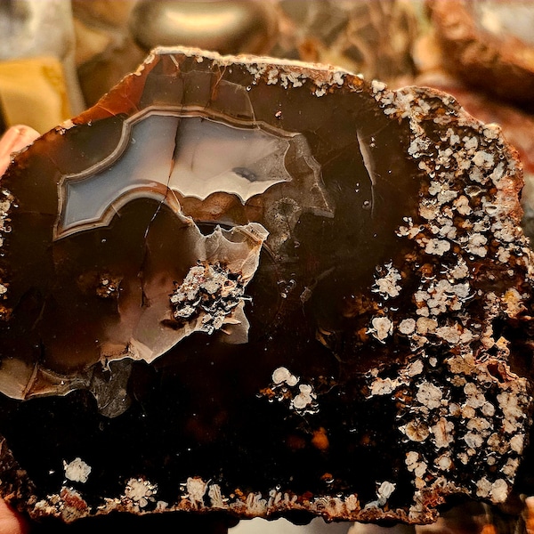 Blue and Green Banded Thunderegg Agate, Crystal Thunderegg Achat ...