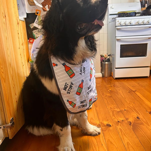 Christmas Santa Bib Giant Big Dog Drool Bib Dog Bib Newfoundland Newfie ...