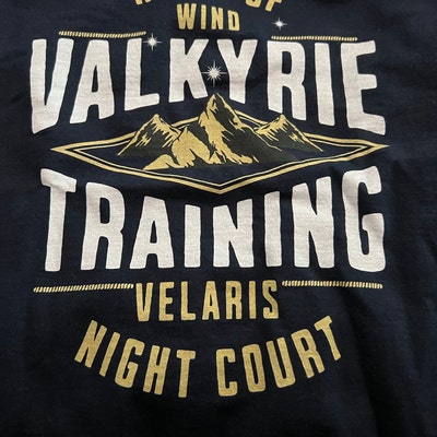 Valkyrie Training ACOTAR Stickers, House of Wind Indoor/outdoor Water ...