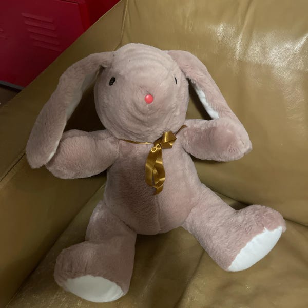 Adorable Bunny Rabbit Plush DIY Pattern (digital File), Written ...