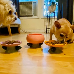 Vintage Kanye West College Dropout Tee, Yeezy Gap, Kanye West Merch ...