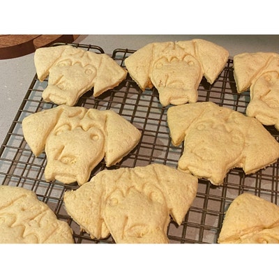 Great Dane Cookie Cutter Great Dan Treat Great Dane Gift - Etsy