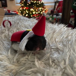 Jack O' Lantern Cape Costume for Pet Rats Orange Cape | Etsy