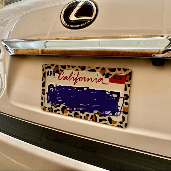 Green Palm Tree License Plate, Cute Car Accessory, Coastal License ...