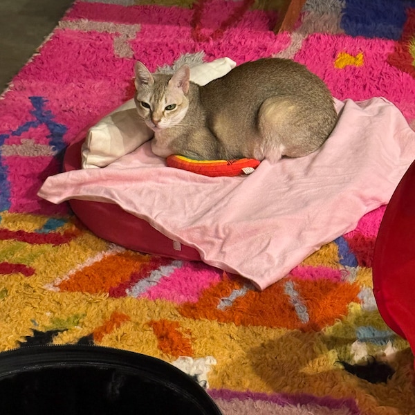 Nido Cat Bed Covers - Etsy