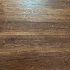 Delta Sigma Theta Zoom Backgrounds DST Virtual Meeting 1913 - Etsy