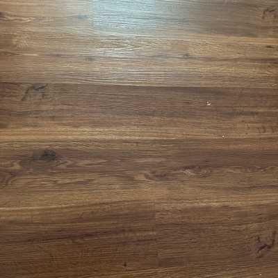 Delta Sigma Theta Zoom Backgrounds DST Virtual Meeting 1913 - Etsy