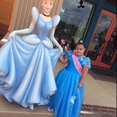 Classic Cinderella Dress Glovettes Included. Soft, Stretchy, Non Itchy ...