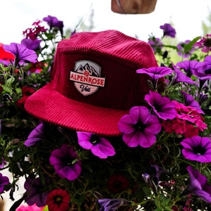 Custom Photo Mat for Any Size Instant Film or Frame Wall - Etsy