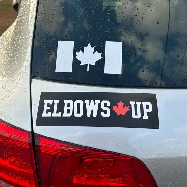 Vintage Chicken and Books Comfort Colors Tshirt, Chicken Shirt, Bookish ...