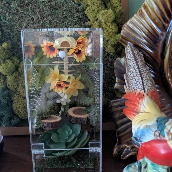 Jumping Spider Enclosure Decor - Etsy