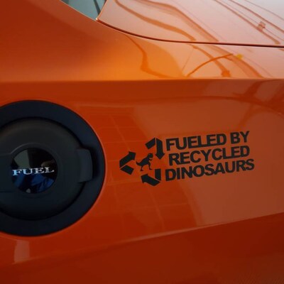 Shocker JDM Funny Sticker Decal - Etsy