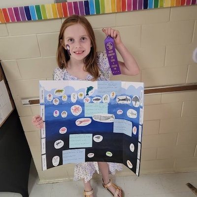 5 Zones of the Ocean Project - Etsy