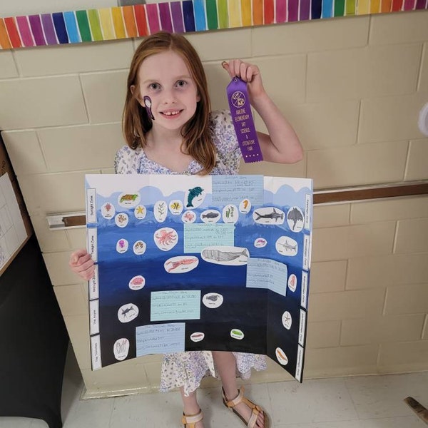 5 Zones of the Ocean Project - Etsy