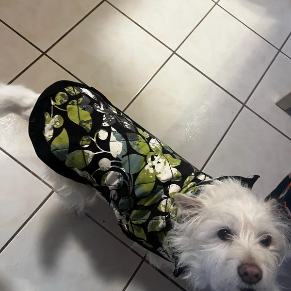 Dog Jacket Sewing Pattern, With Pockets DIY Dog Coat for Beginners Pet ...