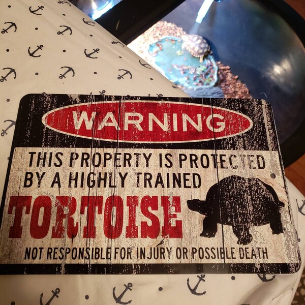 Tortoise Sign,funny Metal Signs,tortoise Gift,tortoise Accessories ...