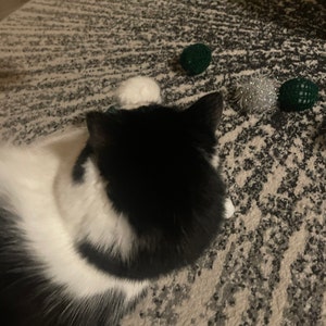 3 Squiggly Soft Cat Toys Optional Feathers Catnip Bell No - Etsy