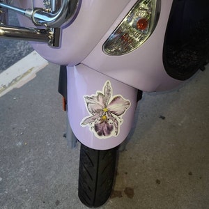 Leo Symbol and Fire Element Vinyl Stickers Zodiac Sticker | Etsy