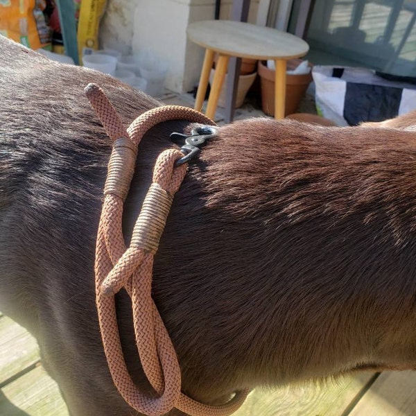 Custom Dog Leash / Dog Leash - Etsy