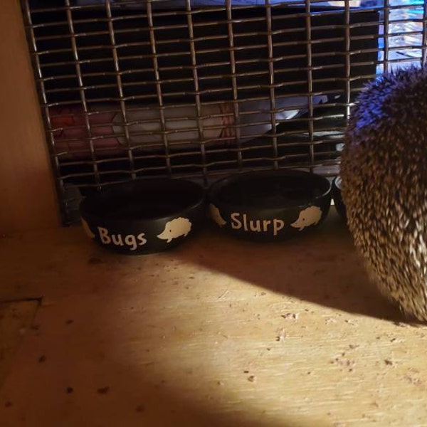 Ceramic Hedgehog Food and Water Bowls. Noms and Slurp Bowls. - Etsy Canada