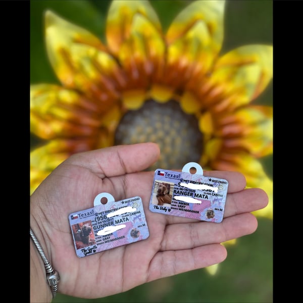 20 Pcs! License Plate Rectangle Double-sided Dog Bone Pet ID Tag ...