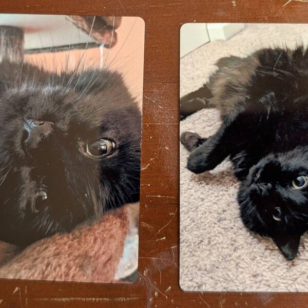 Army Inspired Fanmade Sticker Pack – Freebie Concert Stickers – Kpop ...