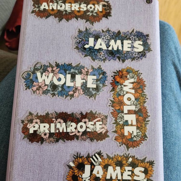 SKZ Bookshelf CLEAR Vinyl Stray Kids Merch, SKZOO Waterproof ...