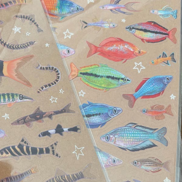 Rainbowfish Sticker Sheet | Clear Transparent Aquarium Fish Stickers - Etsy
