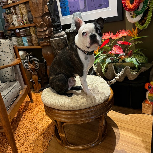 Vintage INDUSTRIAL 1970s Ex Queens NYC Expanded Steel Trash Can 30 Lbs ...