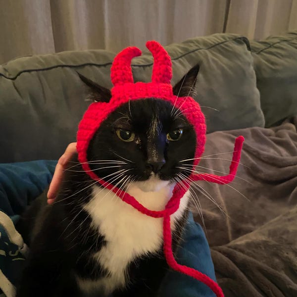 Crochet Devil Cat Hat Crochet Cat Hat Cat Accessories Cat Costumes Cat ...