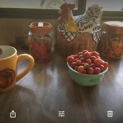 Tee Nee Two Little Bears in Boot Teapot - Etsy