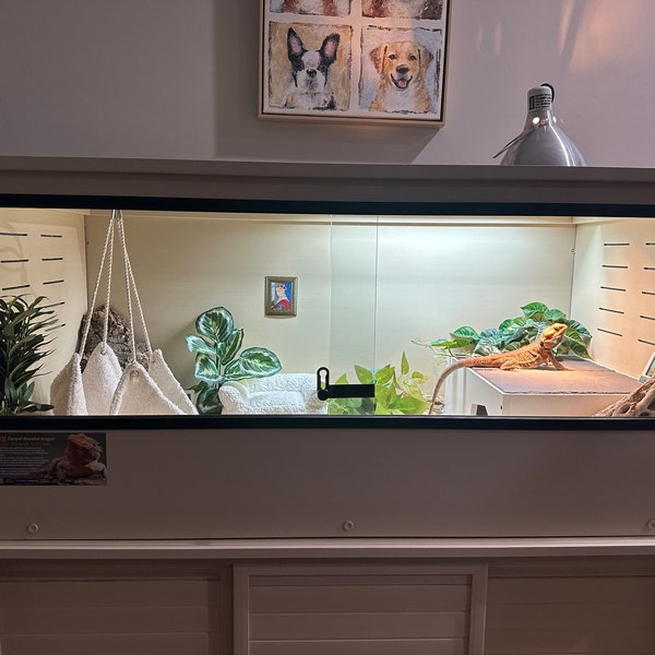 Reptile Enclosure Labels Bearded Dragon Information Sticker - Glossy ...