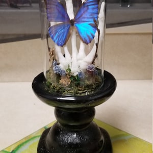 Skeleton Human Hand right Hand Prop Sculpture - Etsy