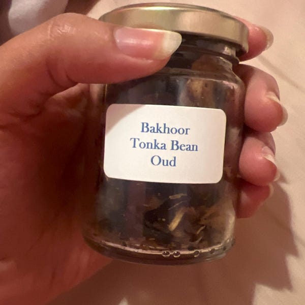 Onycha-operculum Hard - Operculum Shells, Sea Shells, Devils Nails ...