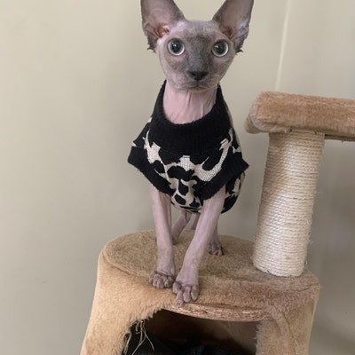 Sphynx Cat Hat, Bambino Cat Hat, Sphynx Summer Hat, Sphynx Hat, Bambino ...