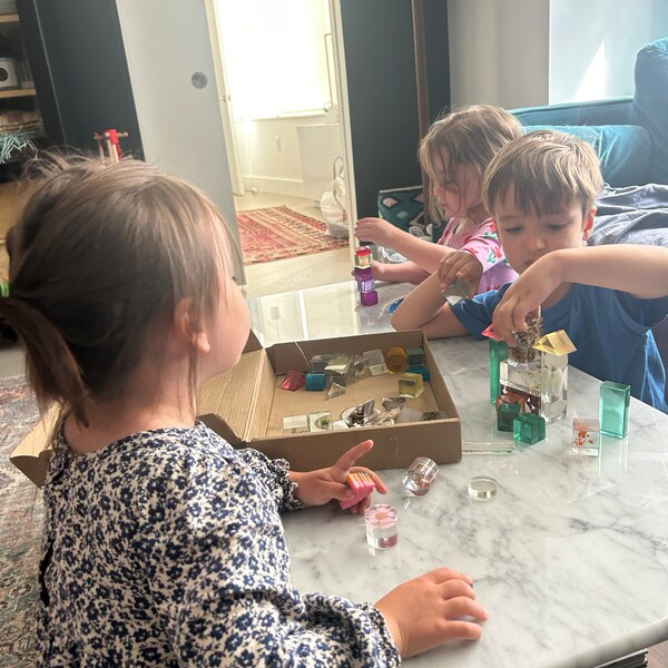 Ladybug Life Cycle/ Critical Thinking/ Montessori Reggio Emilia ...