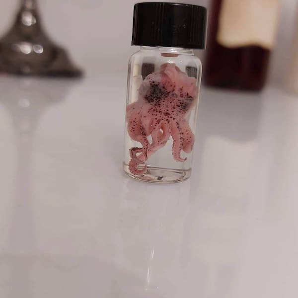 Real Cute PINK Cuttlefish in a Jar, Wet Specimen, Squid, Tentacles ...
