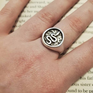 Antique Silver Snake Stamp Signet Ring, Boho Simple Chevalier Ring ...