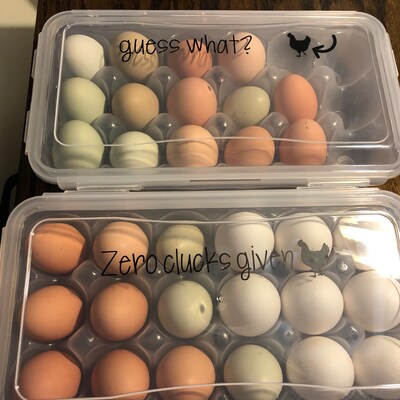 Funny Egg Carton Stickers lables/ Stickers ONLY Chicken Duck Turkey ...